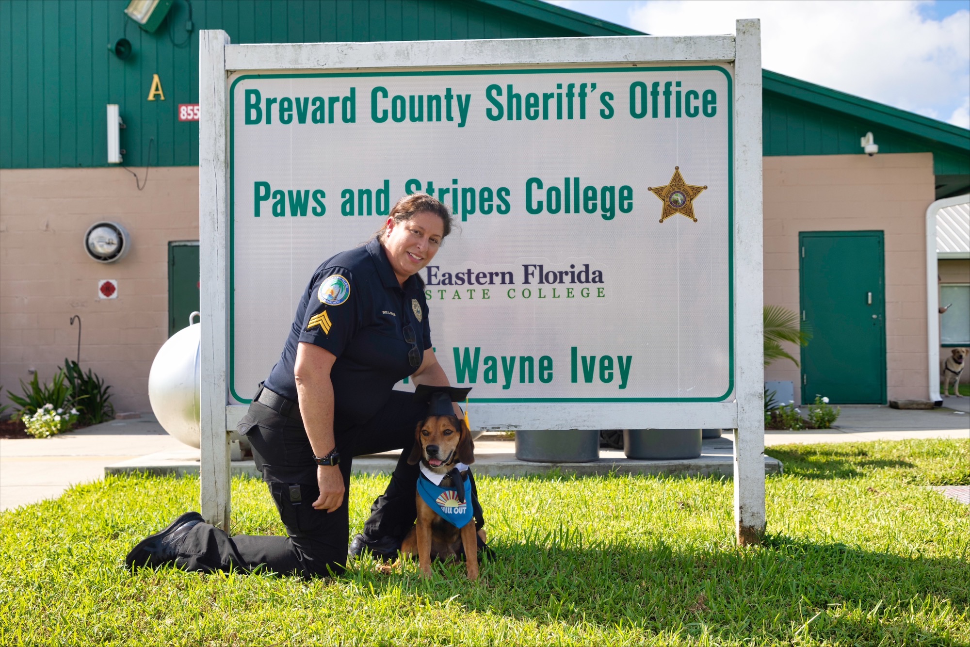 NBVPD Welcomes Its Newest Member: Meet K-9 Willy, Our Service Dog ...