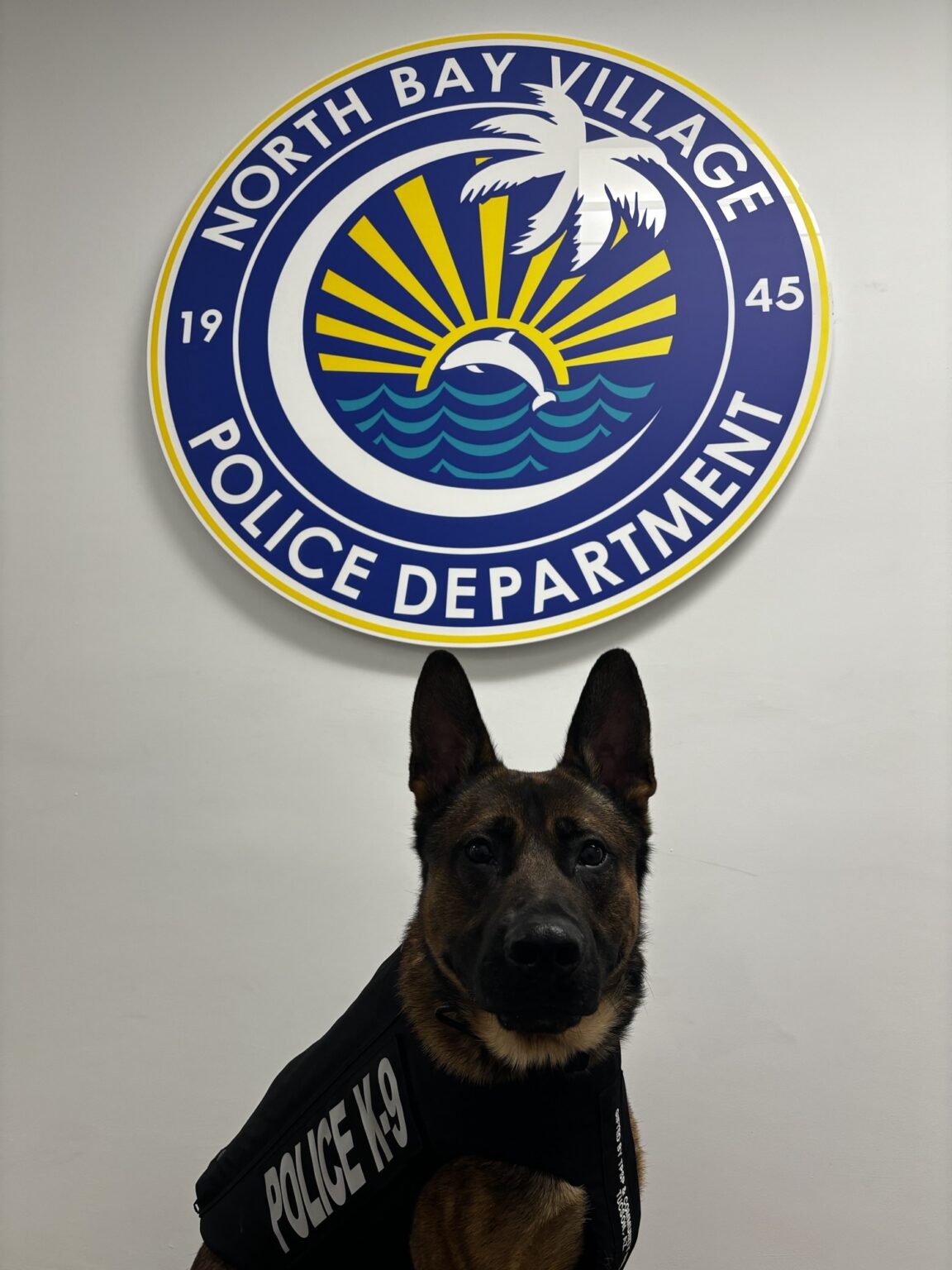 North Bay Village Police Department’s K9 Aerik to get donation of body ...